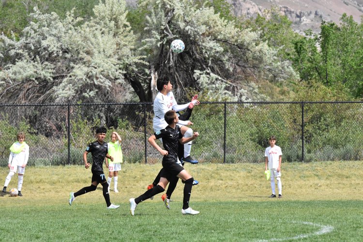 State Cup - USYS Utah